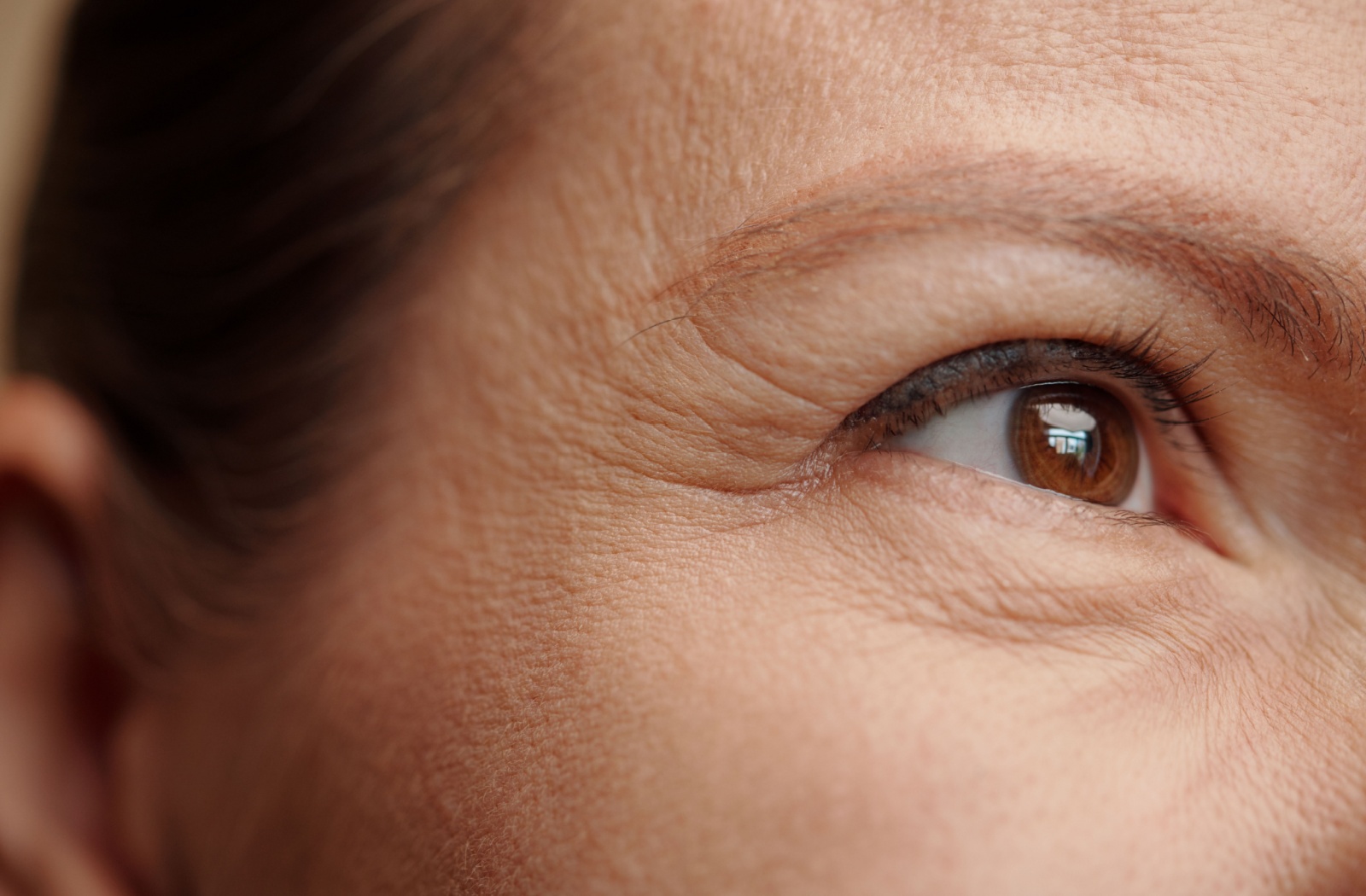What Is Ocular Disease? An Overview of Common Eye Conditions